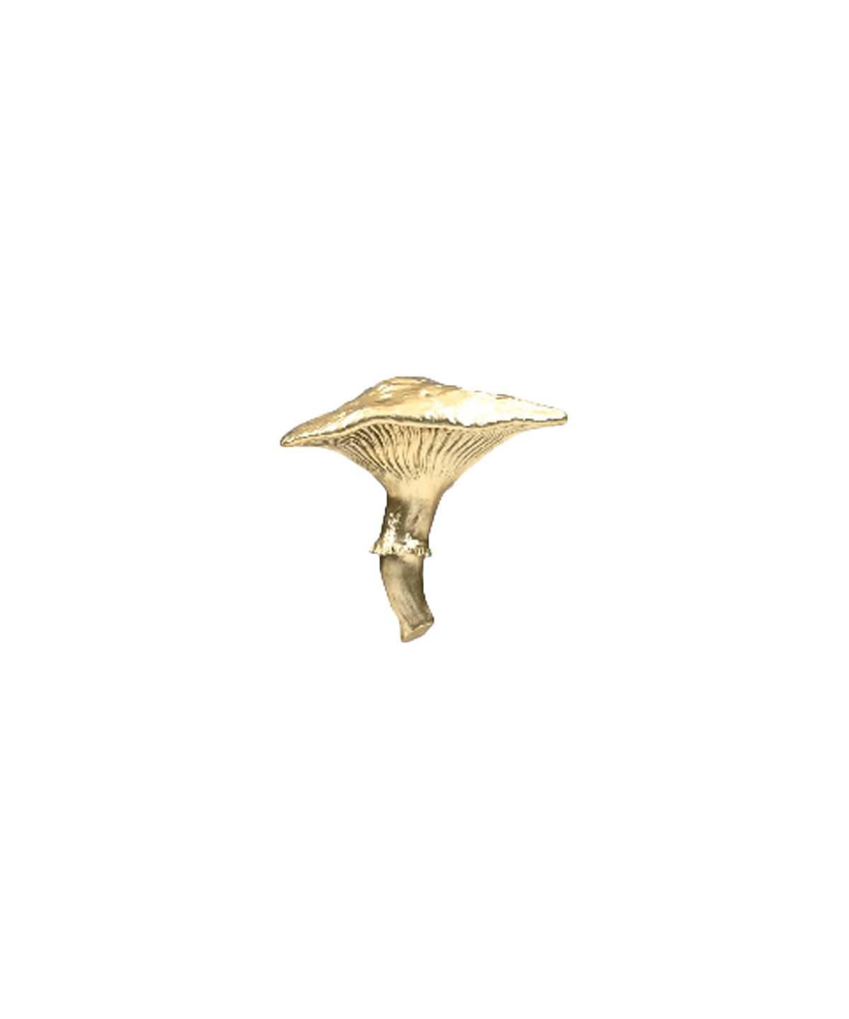 Mushroom 05 End – Anatometal